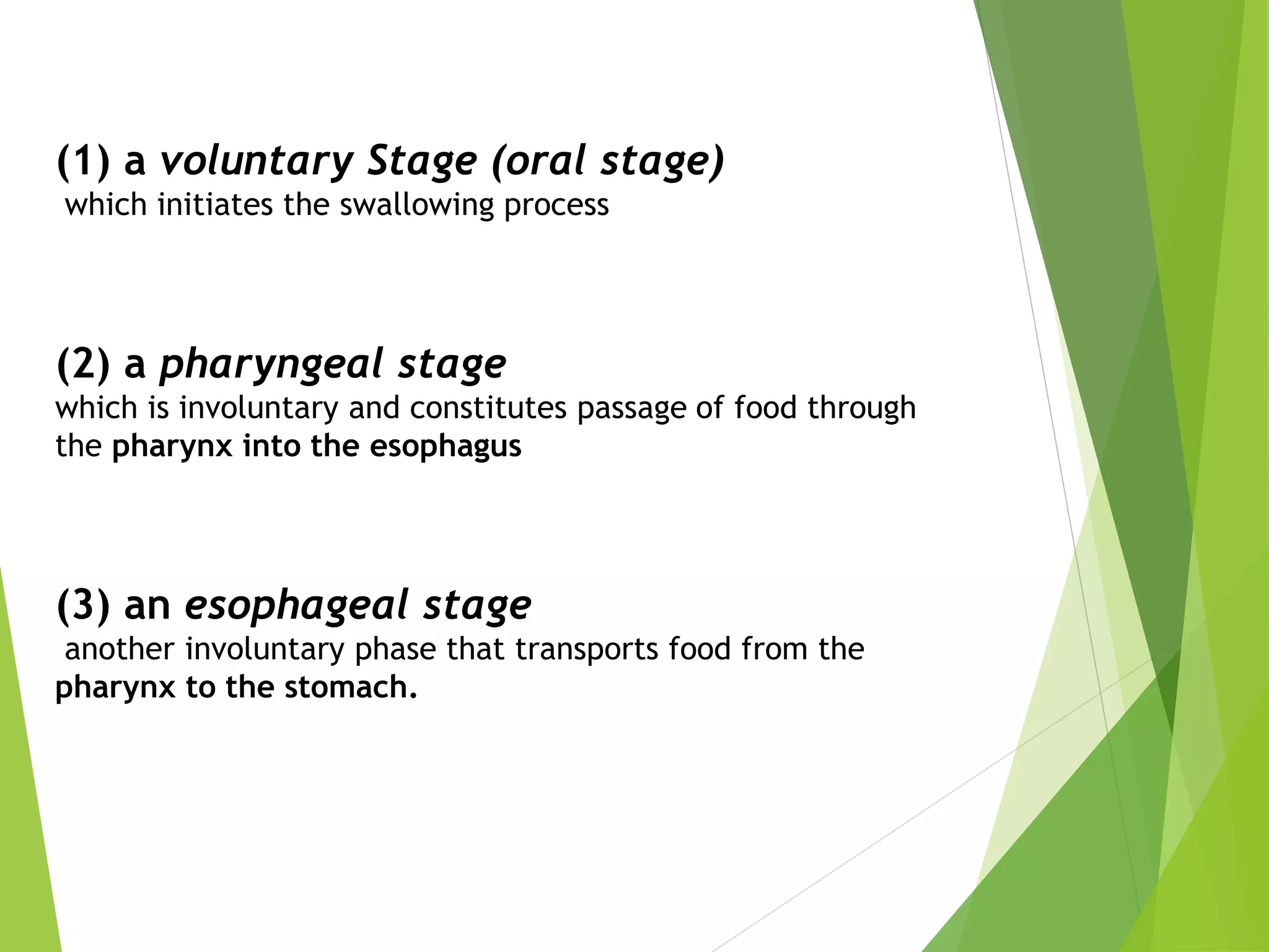 MASTICATION AND SWALLOWING.pptx