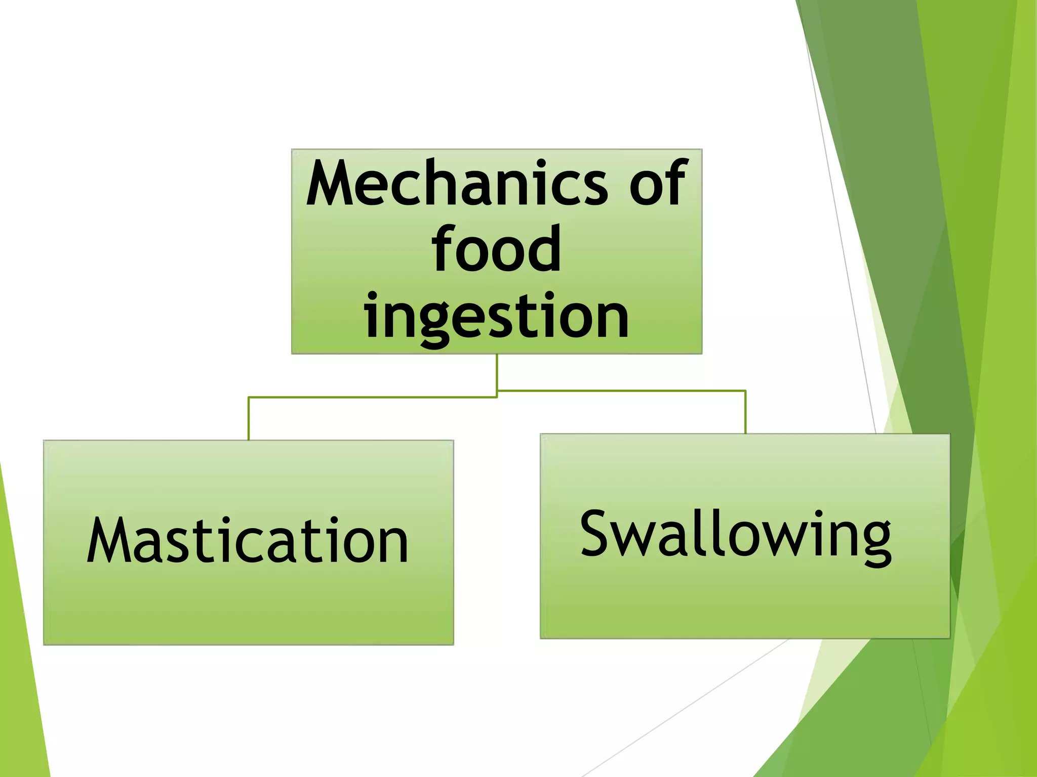 MASTICATION AND SWALLOWING.pptx