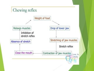 MASTICATION AND SWALLOWING.pptx