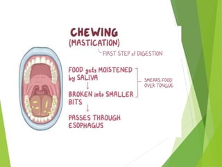 MASTICATION AND SWALLOWING.pptx