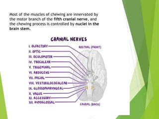 MASTICATION AND SWALLOWING.pptx