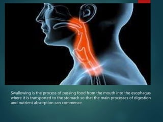 Mastication & deglutition | PPT