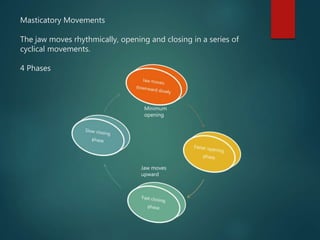 Mastication & deglutition | PPT