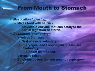 Mastication, degluttition and speech | PPTX