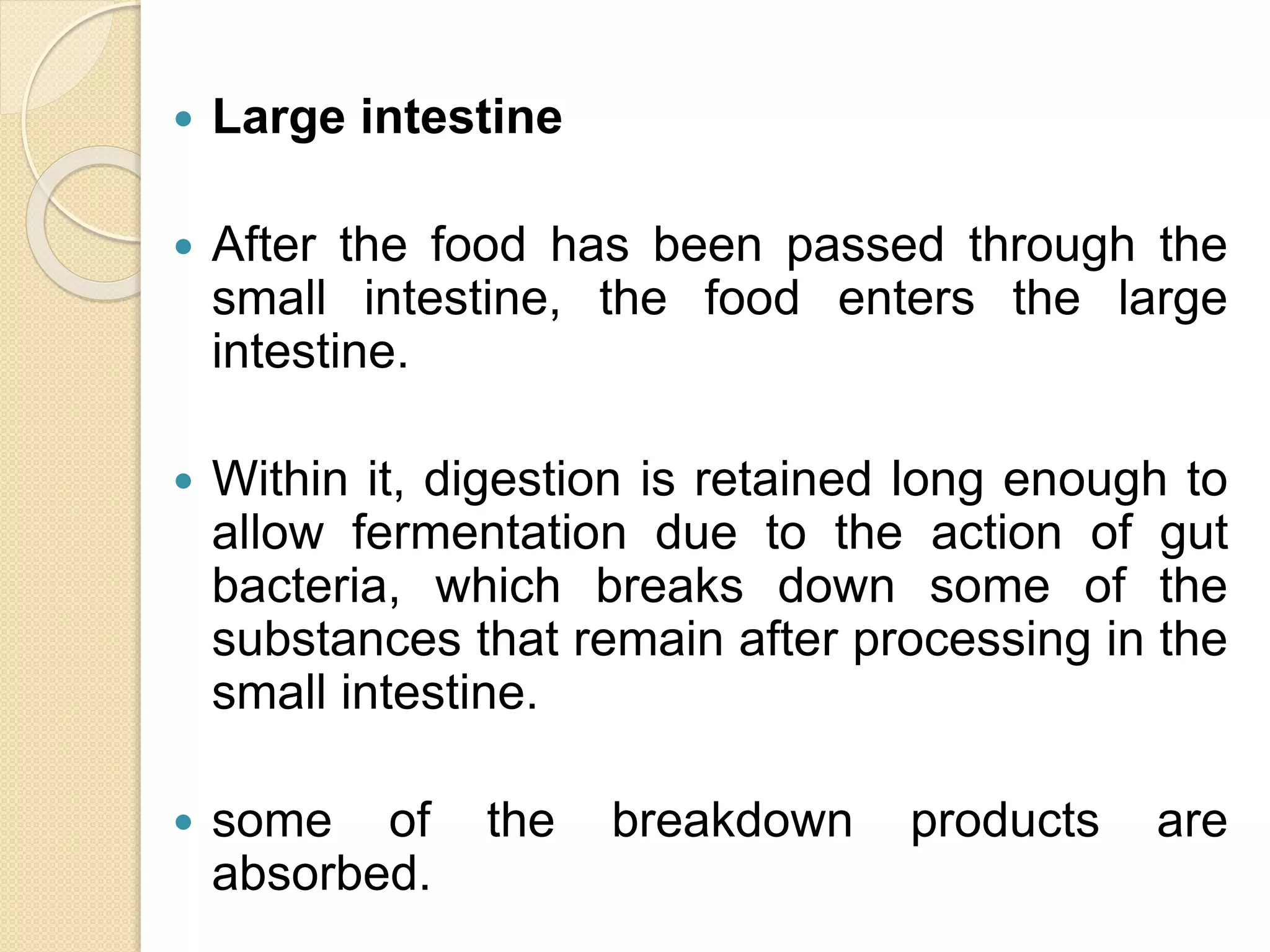 Mastication, degluttition, digestion, assimilation | PPTX