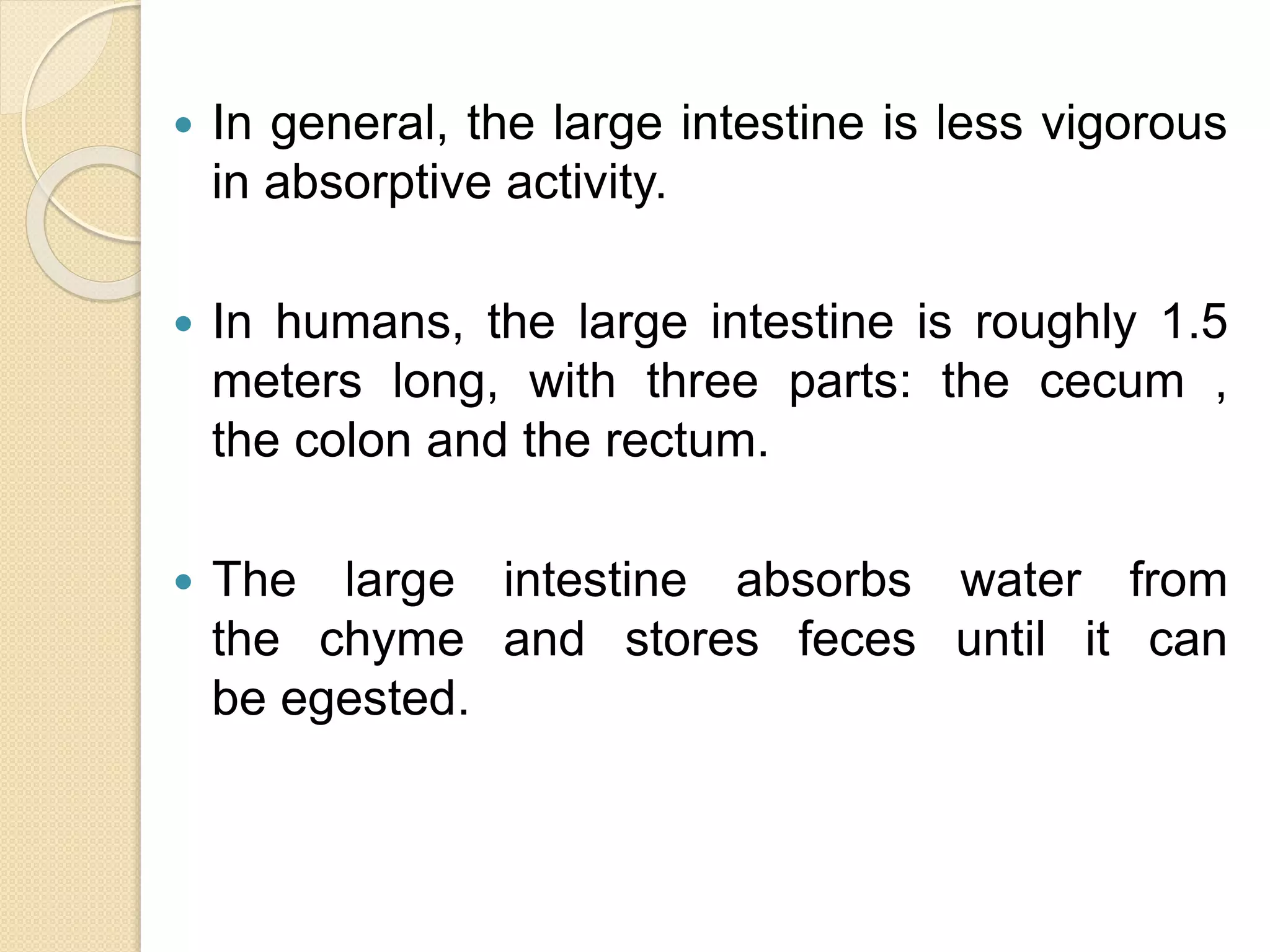 Mastication, degluttition, digestion, assimilation | PPTX