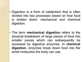 Mastication, degluttition, digestion, assimilation | PPTX