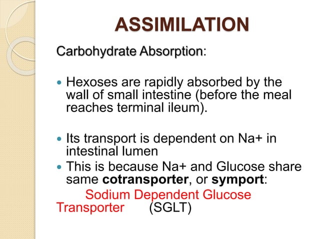 Mastication, degluttition, digestion, assimilation | PPTX