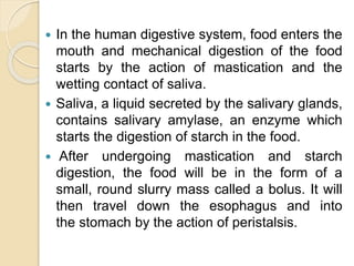 Mastication, degluttition, digestion, assimilation | PPT