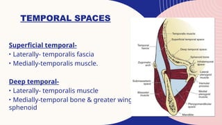 Masticator Space Abscesses of Face .pptx