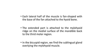 masticatory muscle disorder | PPTX