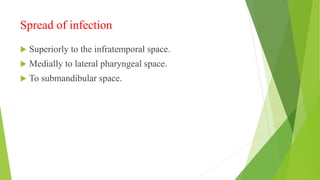 Masticatory space infection | PPTX