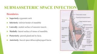 Masticatory space infection | PPTX