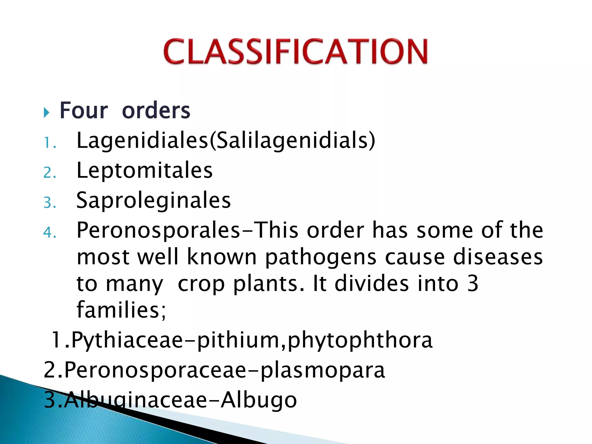 Mastigomycotina | PPTX