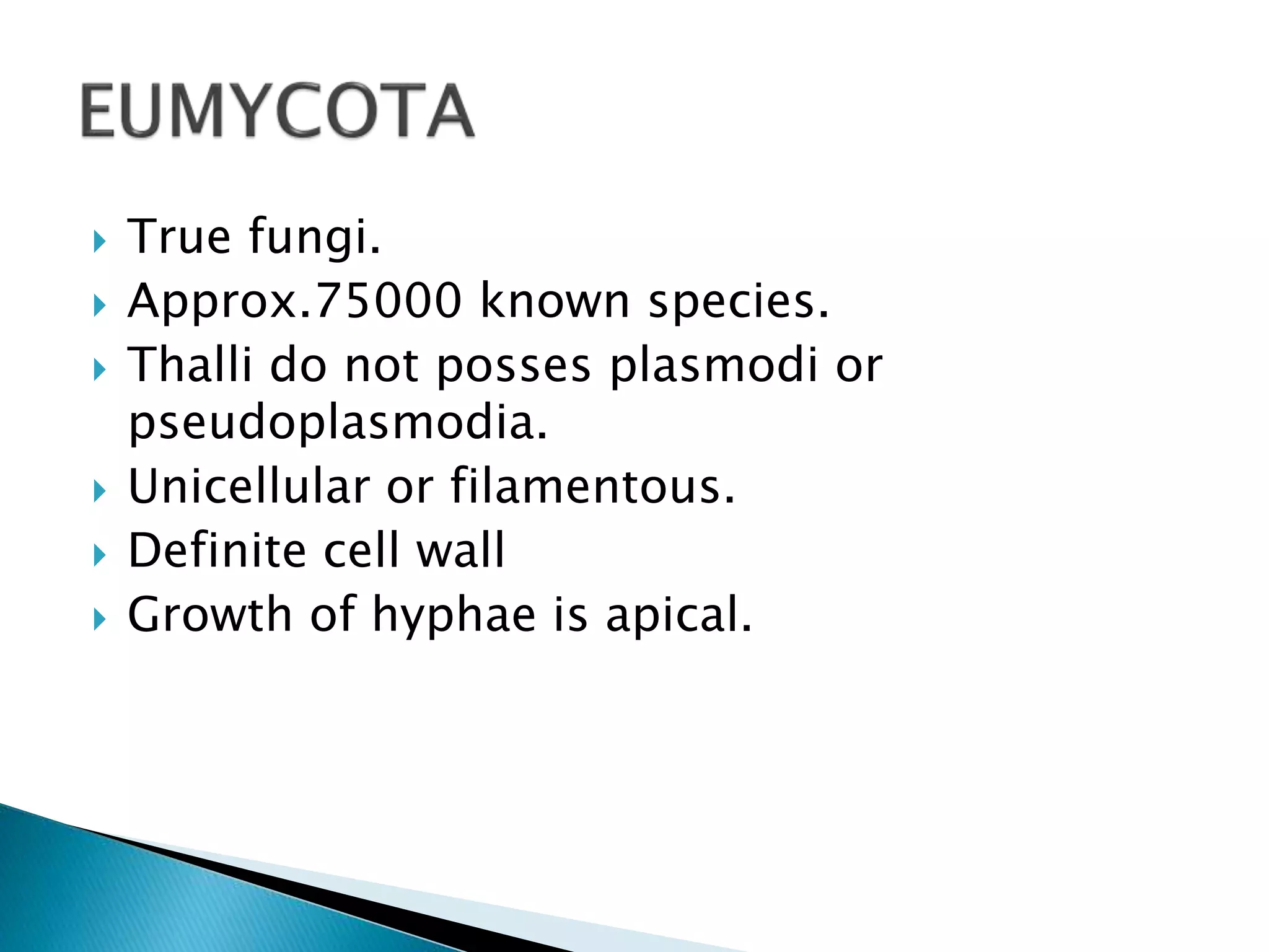 Mastigomycotina | PPTX