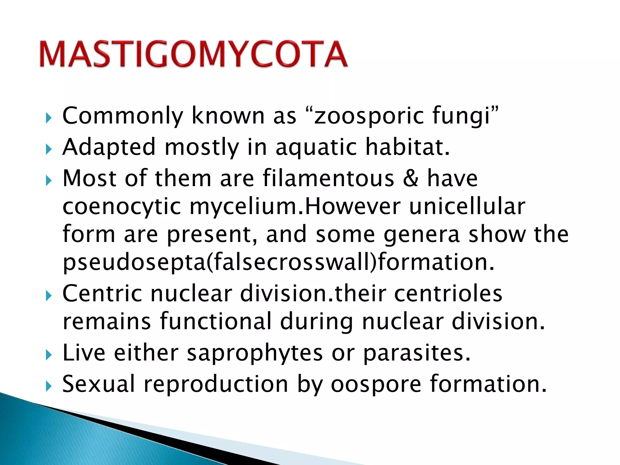 Mastigomycotina | PPTX