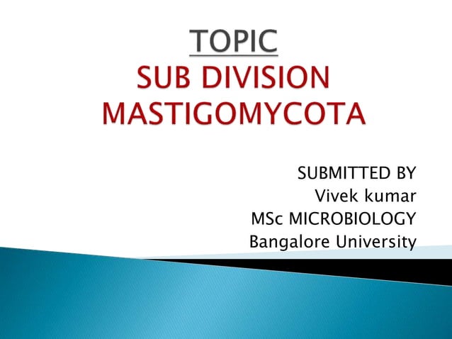 Mastigomycotina | PPTX | Biological Sciences | Science