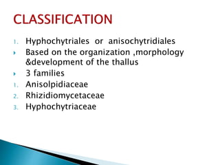 Mastigomycotina | PPTX