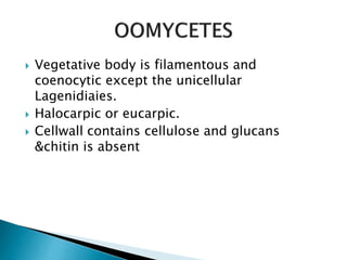 Mastigomycotina | PPTX
