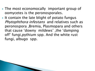 Mastigomycotina | PPTX
