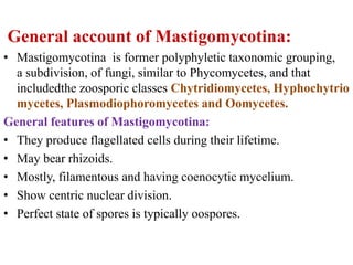 Mastigomycotina | PPTX