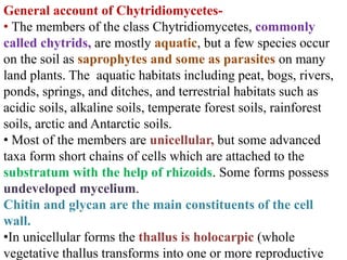 Mastigomycotina | PPTX