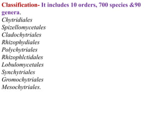 Mastigomycotina | PPTX
