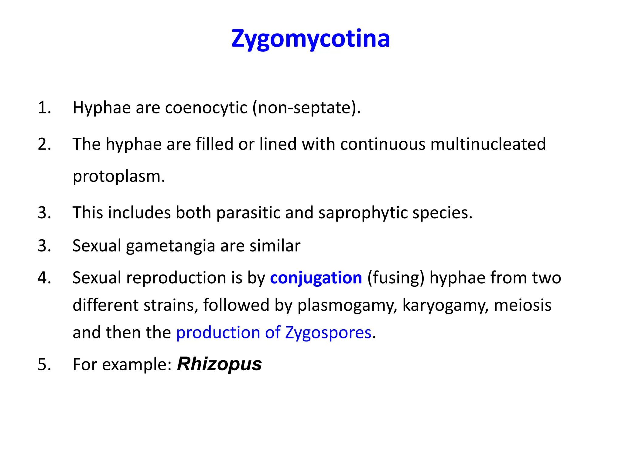 Mastigomycotina-handout.pptx