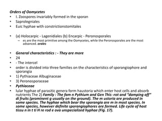 Mastigomycotina-handout.pptx