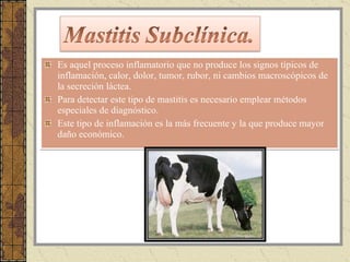 Mastitis | PPT