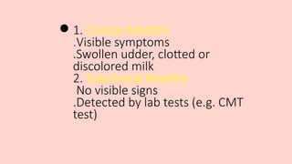Mastitis-1.pptx..Incidence of mastitis and causes | PPTX
