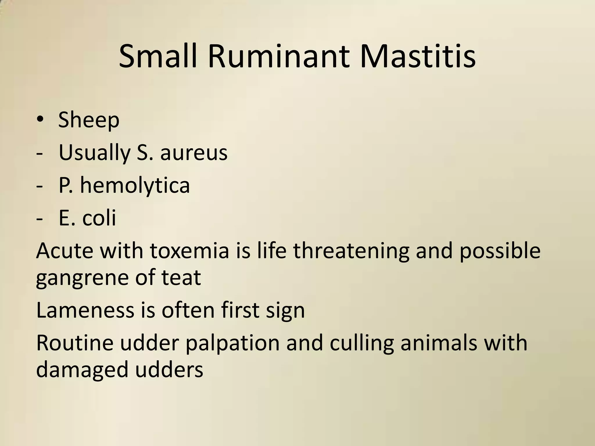 Mastitis | PPTX