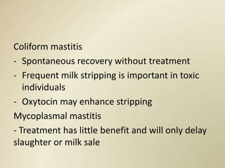 Mastitis | PPTX