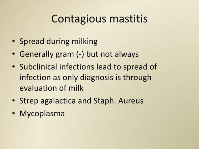 Mastitis | PPTX
