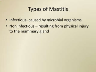 Mastitis | PPTX
