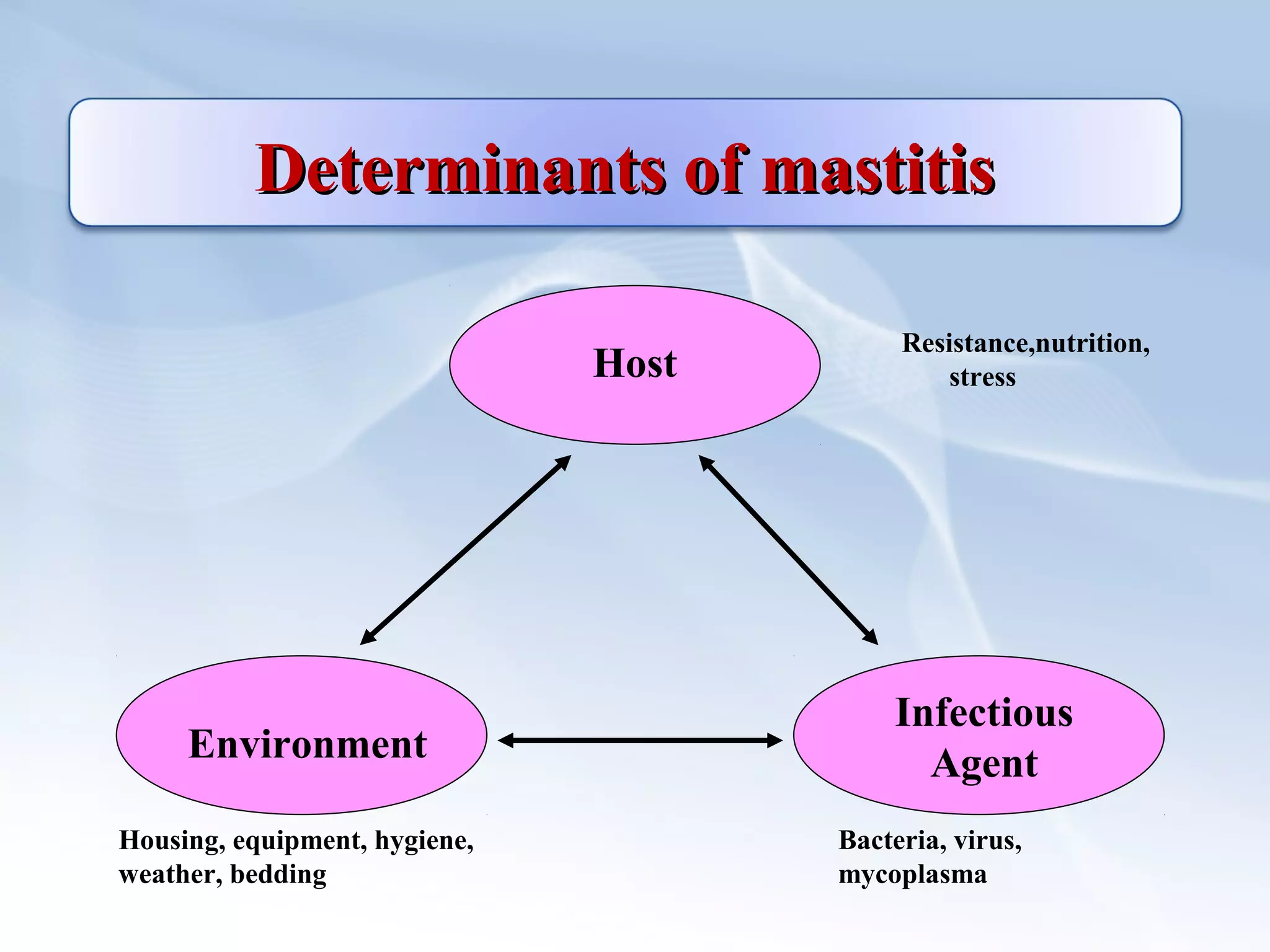 Mastitis | PPT