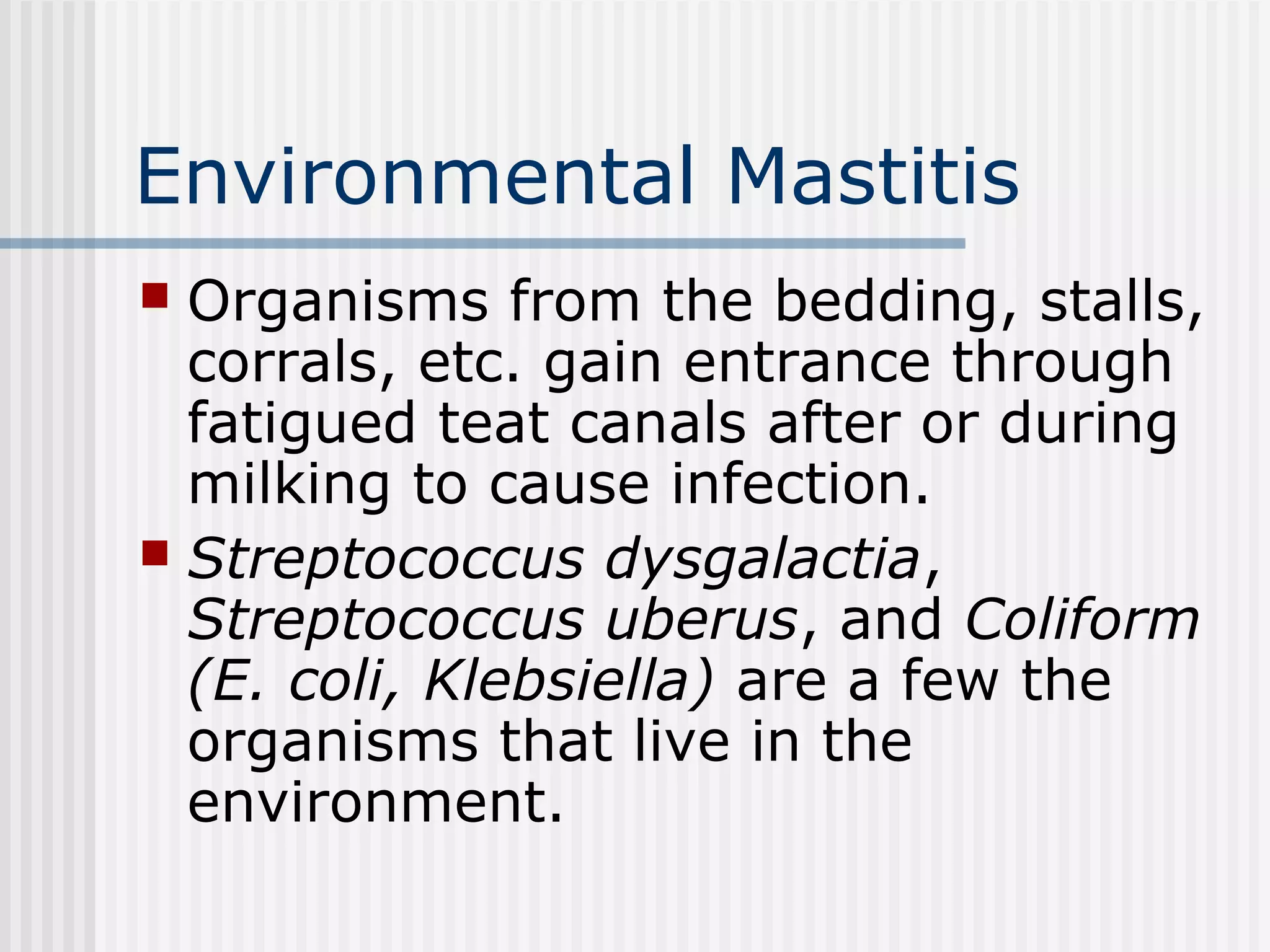 Mastitis | PPT