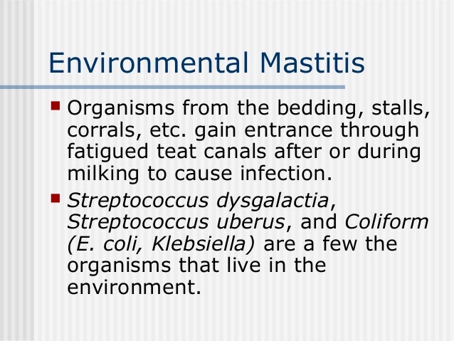 Mastitis