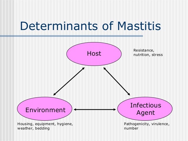 Mastitis