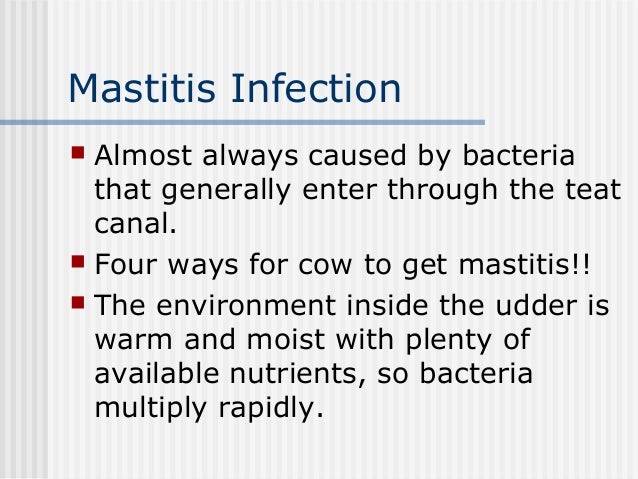 Mastitis