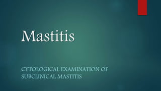 Mastitis | PPTX
