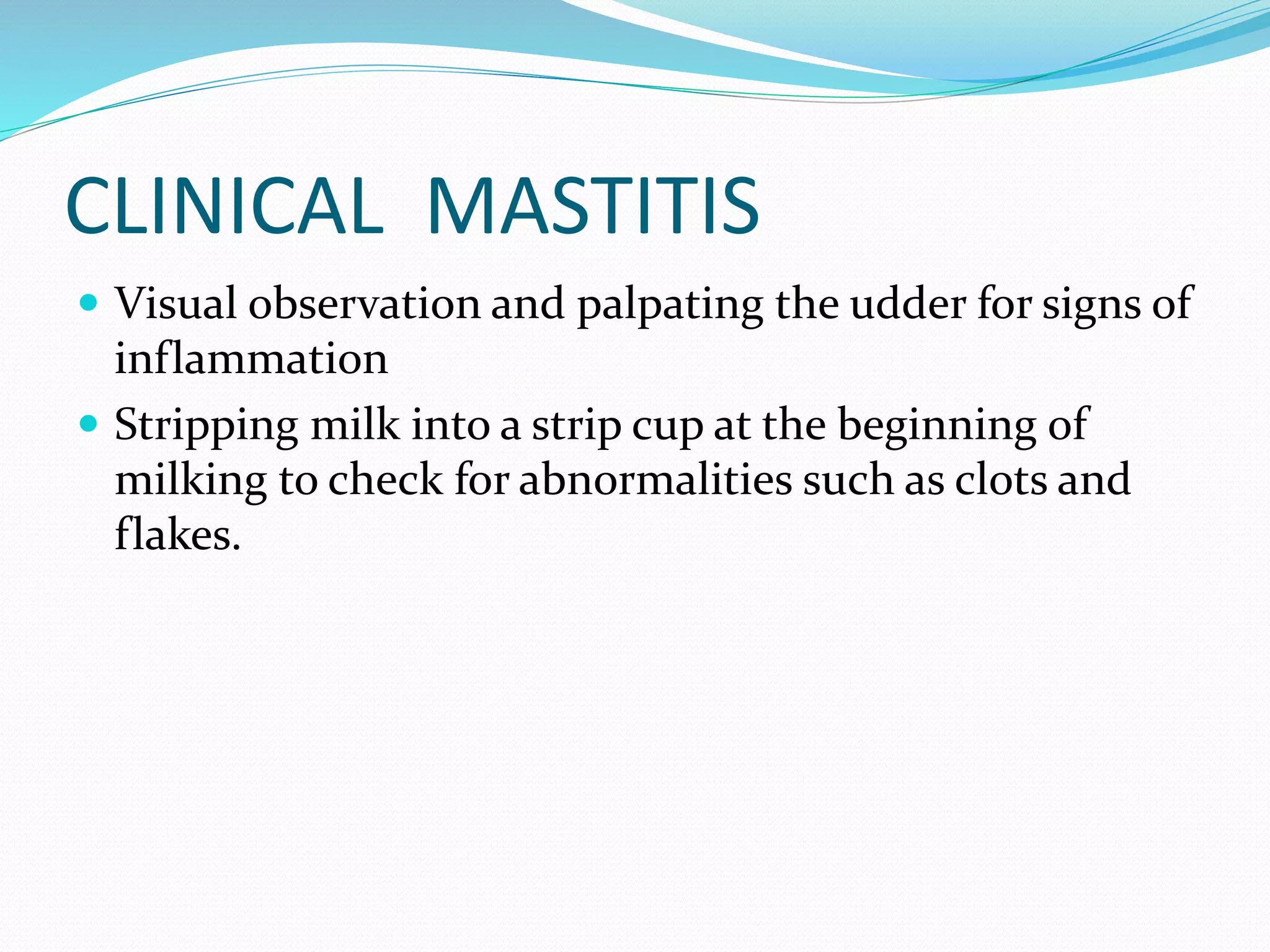 Mastitis | PPTX