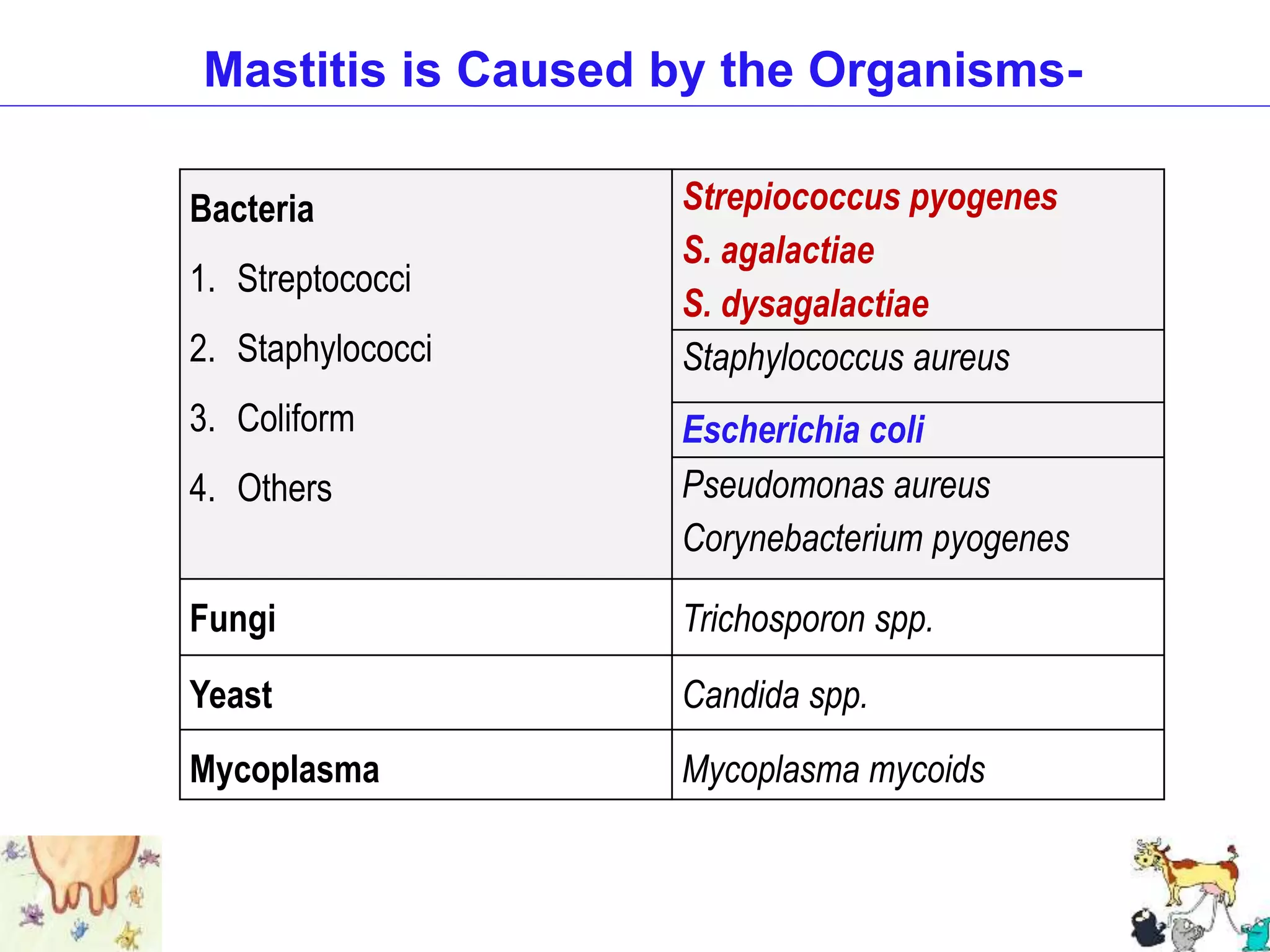 Mastitis | PPTX