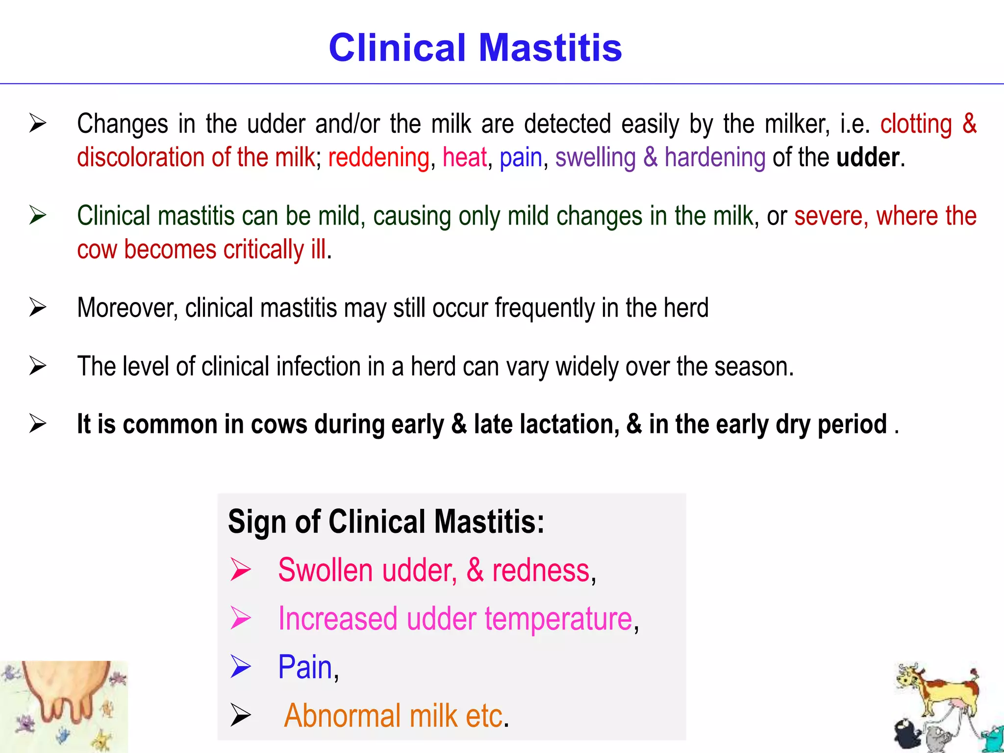 Mastitis | PPTX