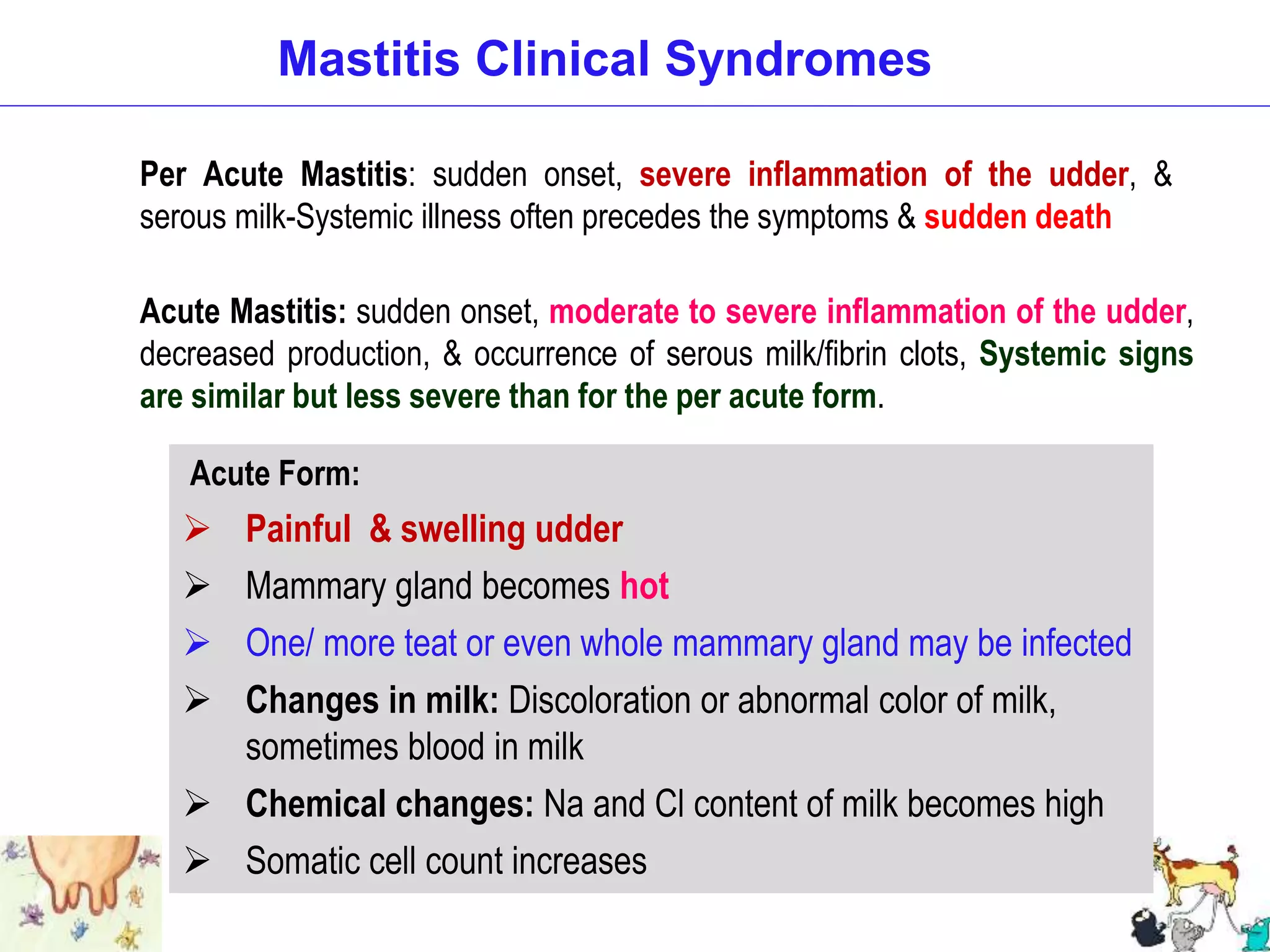 Mastitis | PPTX