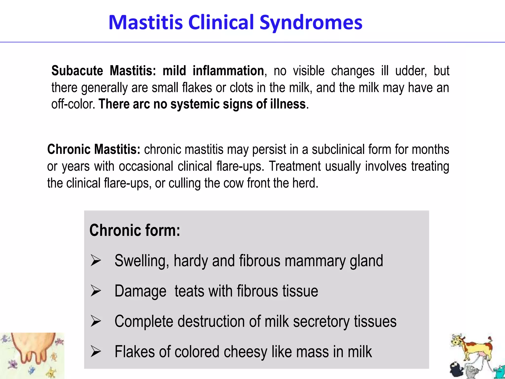 Mastitis | PPTX