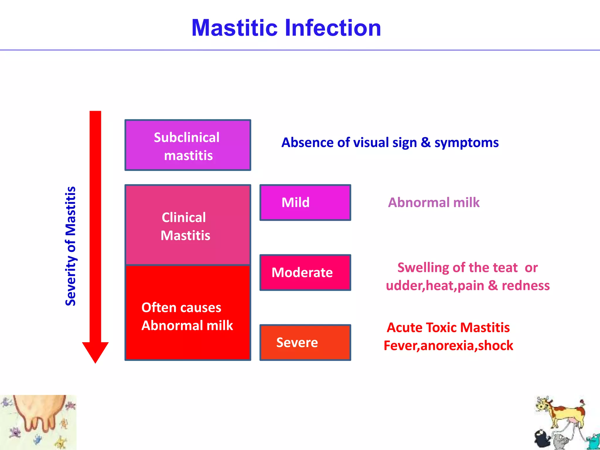Mastitis | PPTX