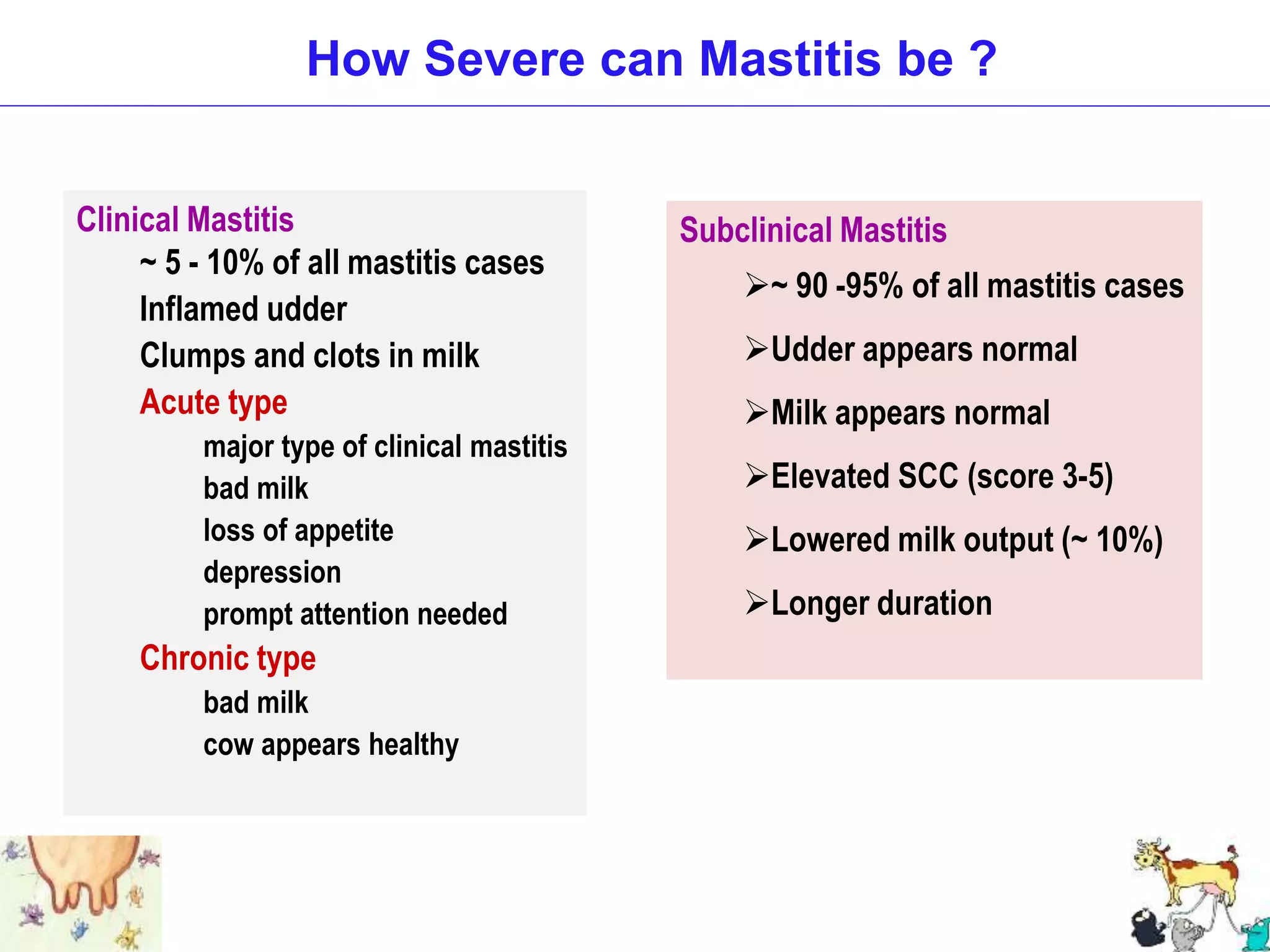 Mastitis | PPTX
