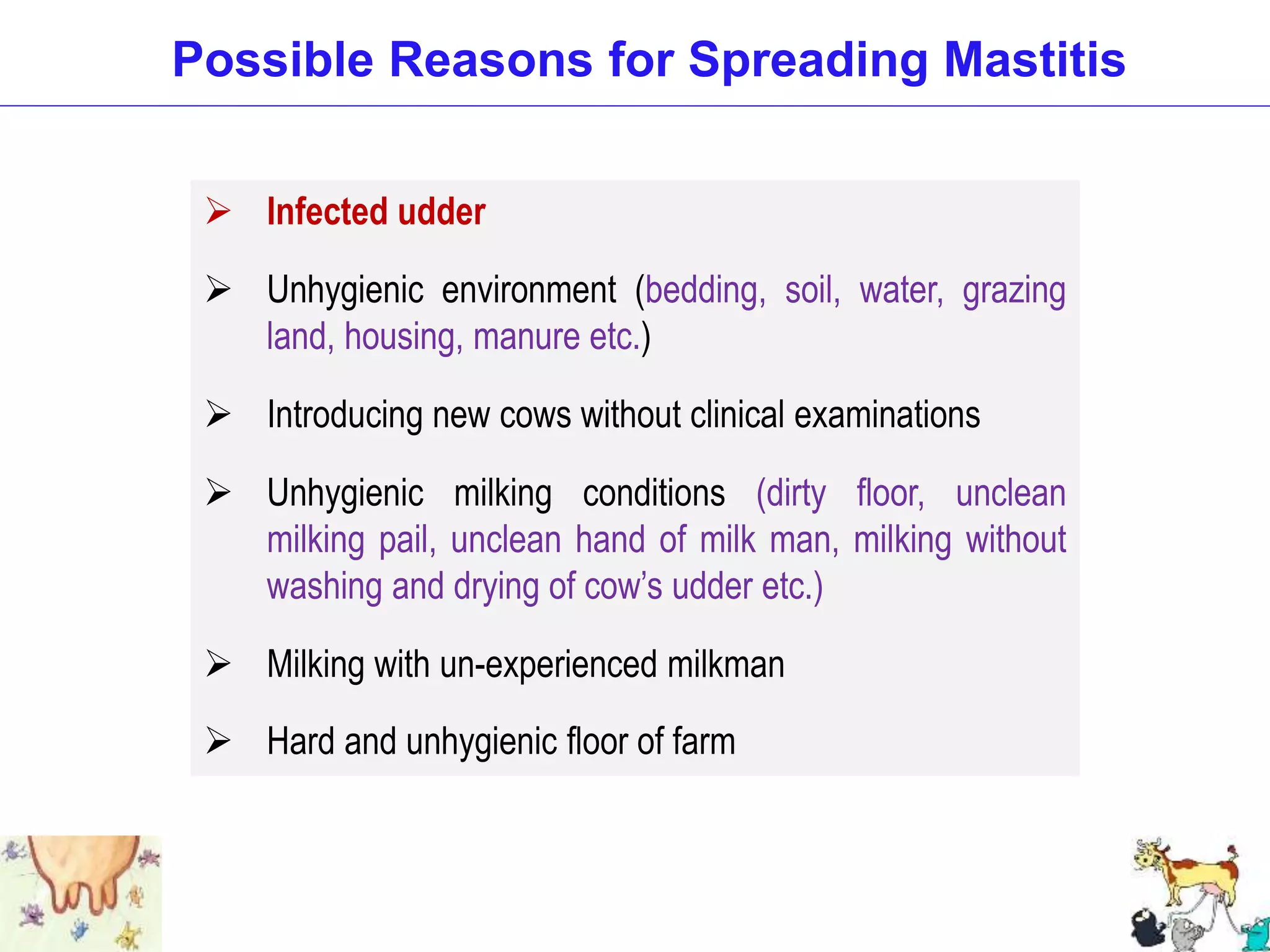 Mastitis | PPTX