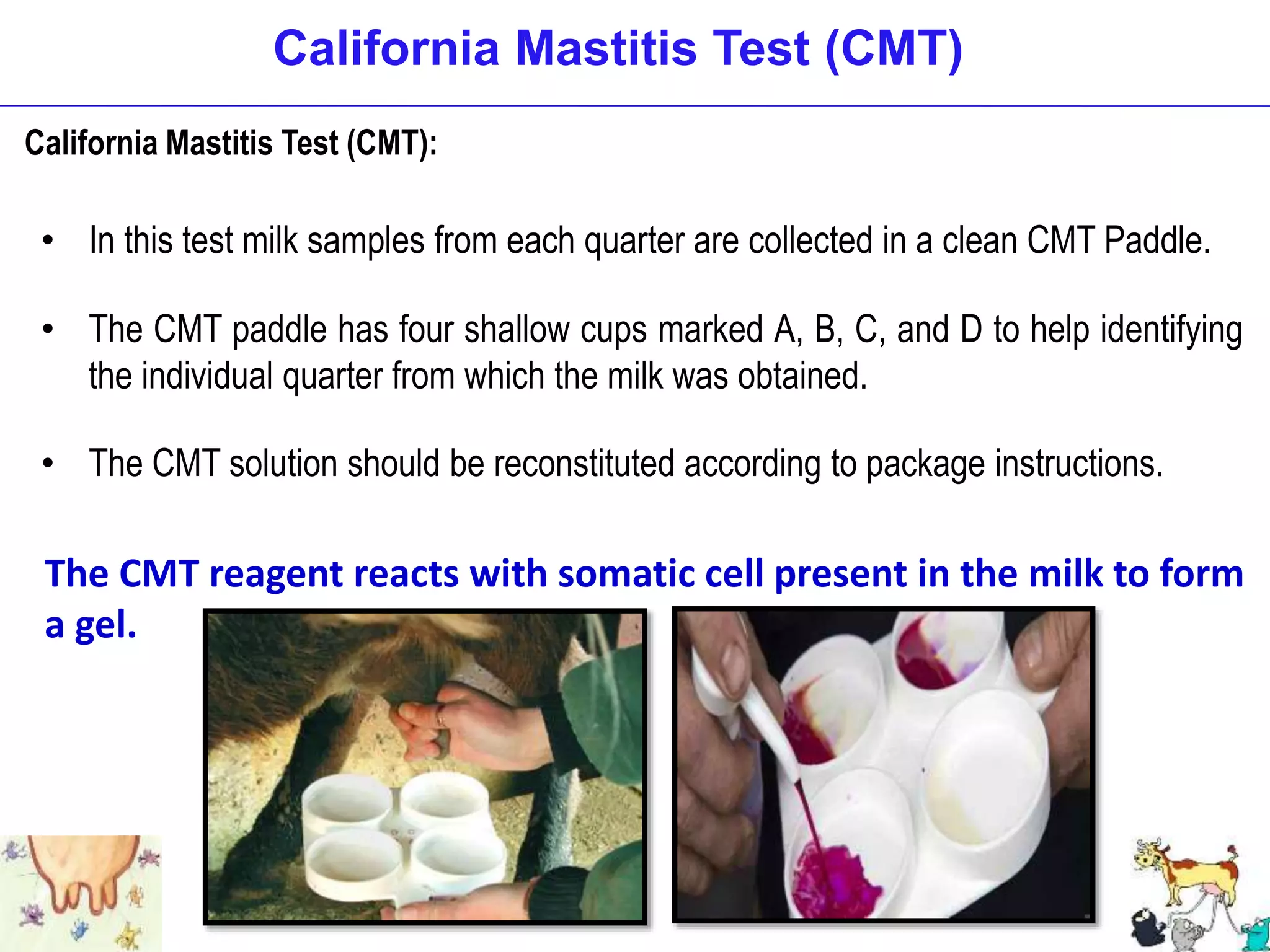 Mastitis | PPTX